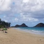 BELLOWS FIELD BEACH PARK - 540 Photos & 175 Reviews - Beaches - 220 ...