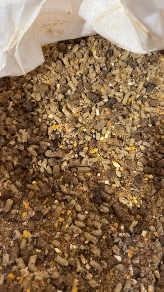 RAWHIDE BULK FEED - Updated October 2025 - 14750 Parker St, Hornsby ...