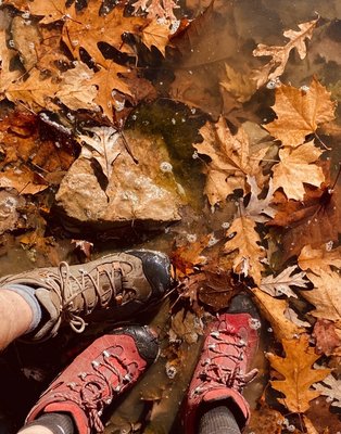 REI - Updated October 2025 - 31 Photos & 119 Reviews - 17 W 160 22nd St ...