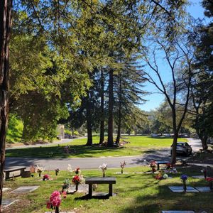 ROLLING HILLS MEMORIAL PARK - 157 Photos & 85 Reviews - 4100 Hilltop Dr ...