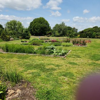 JC RAULSTON ARBORETUM - Updated May 2025 - 648 Photos & 112 Reviews ...