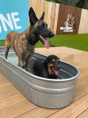 FETCH PARK - Updated December 2024 - 11 Photos & 12 Reviews - 11440 ...