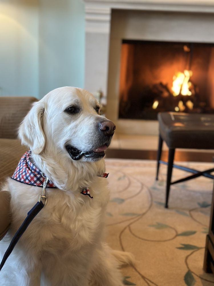 SALAMANDER MIDDLEBURG - Updated December 2025 - 727 Photos & 477 ...