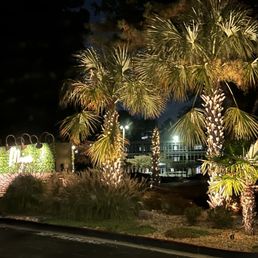 MOJAVE - Updated December 2025 - 1251 Photos & 694 Reviews - 6450 ...