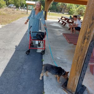 JANE LATTA VET - Updated December 2025 - 32 Reviews - 725 E Washington ...