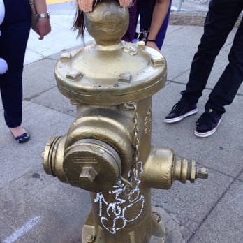 THE GOLDEN FIRE HYDRANT - Updated July 2025 - 52 Photos & 14 Reviews ...