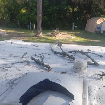 SUNCOAST RV RESORT - Updated December 2025 - 16 Photos - 9029 US Hwy 19 ...