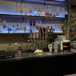 BIRD & CO - Updated May 2025 - 342 Photos & 262 Reviews - 539 Deering ...