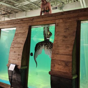 JUNGLE REEF - Updated December 2025 - 29 Photos & 26 Reviews - 750 Sunland Park Dr, El Paso ...