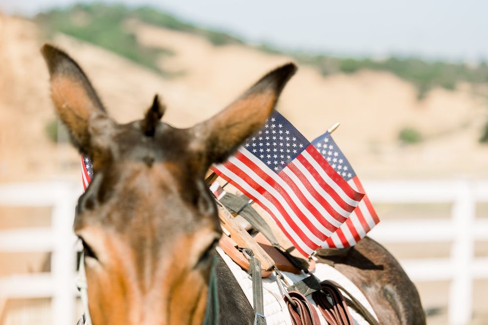 COYOTE CANYON RANCH - Updated September 2025 - 46 Photos - 615 Palm Ave ...