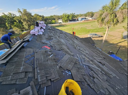 TITANIUM ROOFING - Updated August 2025 - 59 Photos - Tampa, Florida ...