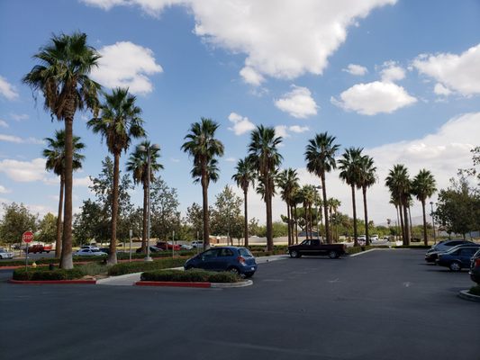 HESPERIA LIBRARY - Updated August 2025 - 14 Photos & 30 Reviews - 9650 ...