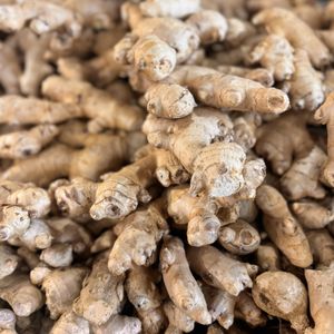 GALA FRESH FARMS - Updated January 2026 - 38 Photos & 17 Reviews ...