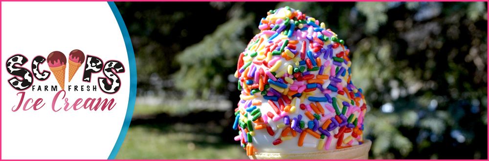 SCOOPS FARM FRESH ICE CREAM - Updated April 2025 - Wesley Chapel ...