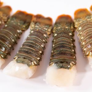 THE FISH PLUG - Updated December 2025 - 35 Photos - 2500 W 78th st ...