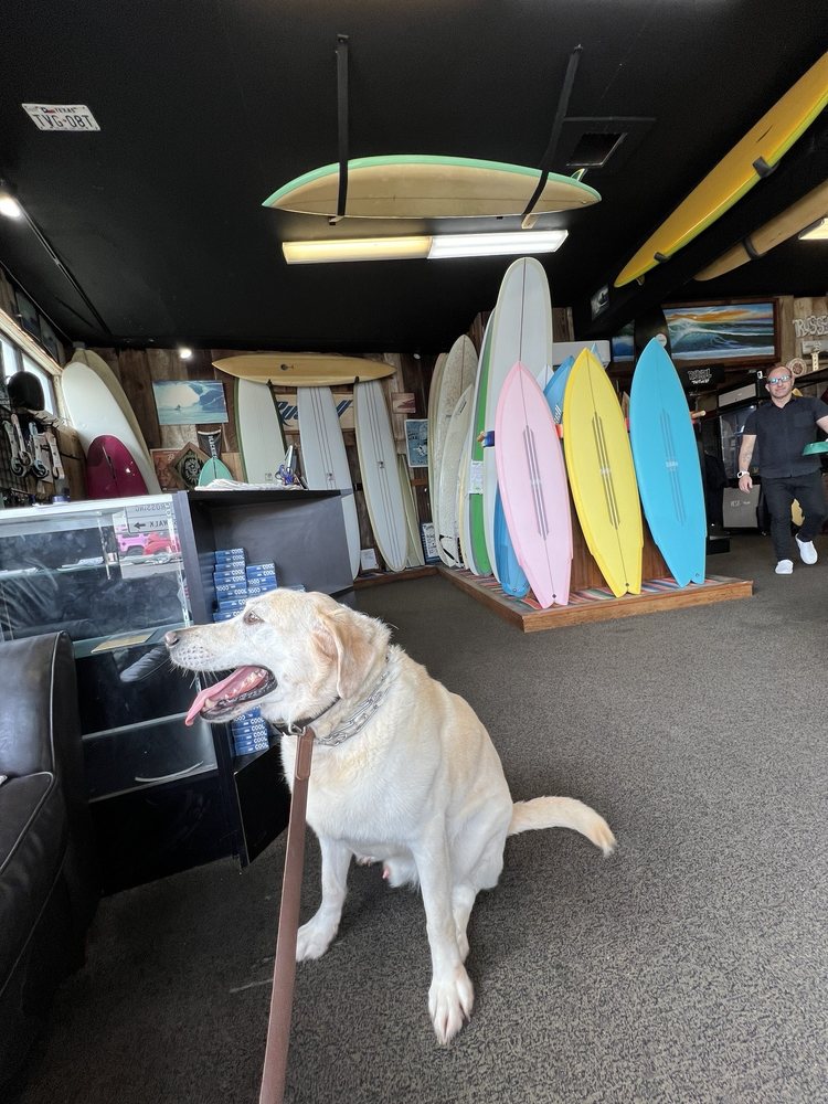 RUSSELL SURF BOARDS - Updated December 2025 - 16 Photos & 41 Reviews ...
