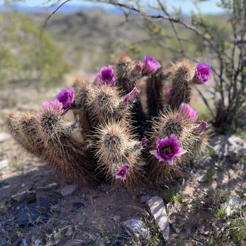 DREAMY DRAW RECREATION AREA - Updated January 2026 - 295 Photos & 80 ...