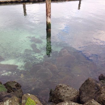 DON ARMENI BOAT RAMP - Updated December 2025 - 29 Photos & 10 Reviews ...