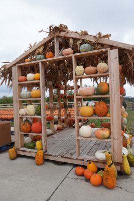 STUCKEY FARM ORCHARD AND CIDER MILL - Updated December 2025 - 195 ...