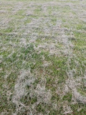 THOMAS J EVANS FOUNDATION PARK - Updated November 2025 - 10255 Mcintosh ...