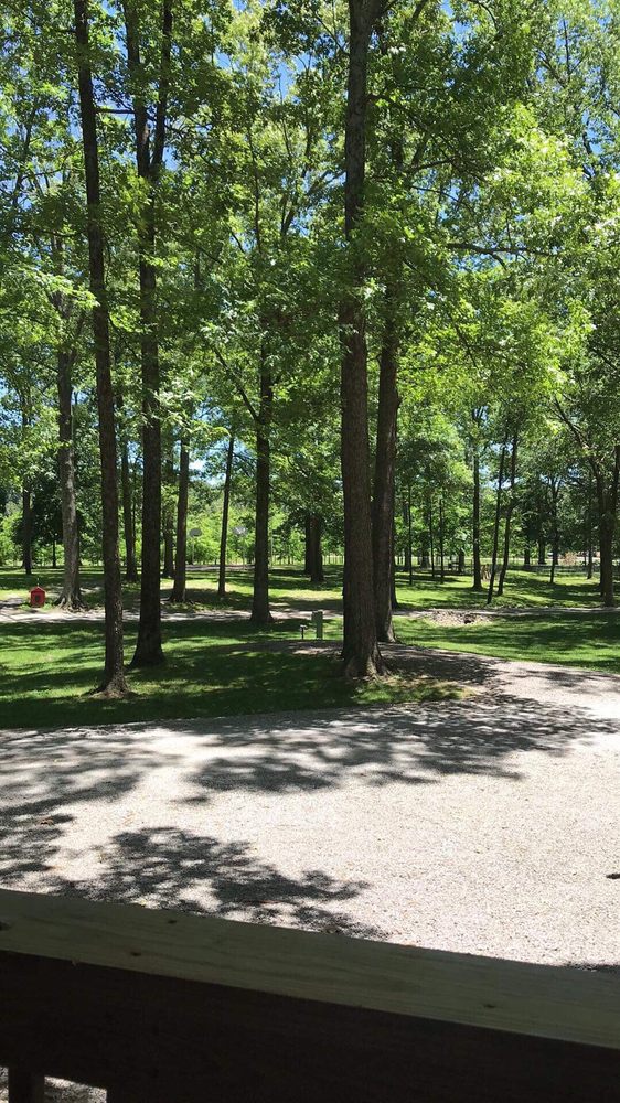 WHITTINGTON WOODS CAMPGROUND - 42 Photos & 18 Reviews - 14297 State Hwy ...