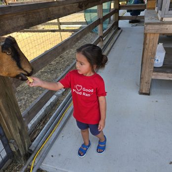 GOOD MOOD RANCH - Updated December 2025 - 148 Photos & 18 Reviews - 306 ...