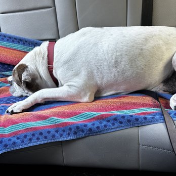 MICHAEL BUTCHKO, DVM - Updated December 2025 - 214 Photos & 541 Reviews ...