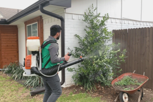 Vinx Pest Control Reviews