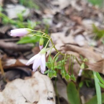 DUFF PARK - Updated January 2026 - 45 Photos & 11 Reviews - 4500 School ...