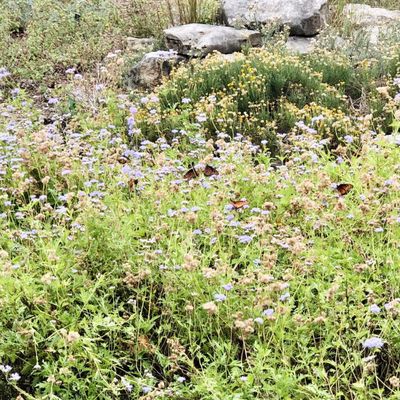 TYE PRESTON MEMORIAL LIBRARY - Updated October 2025 - 14 Photos - 16311 ...