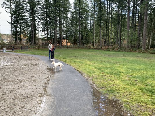 SUMMIT DOG PARK - Updated January 2026 - 23675 SE Tahoma Way, Maple ...