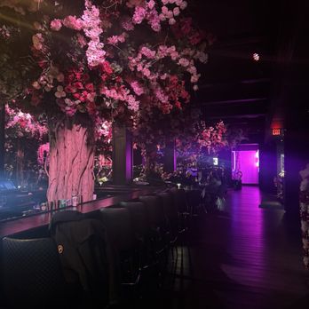 DOCKS OFF 5TH - Updated March 2025 - 235 Photos & 43 Reviews - 25 W ...