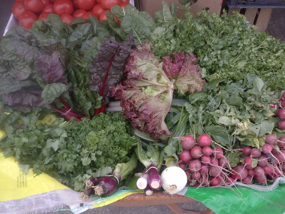 SEASONS FARM FRESH - Updated September 2025 - 7250 SW 41st St, Miami ...