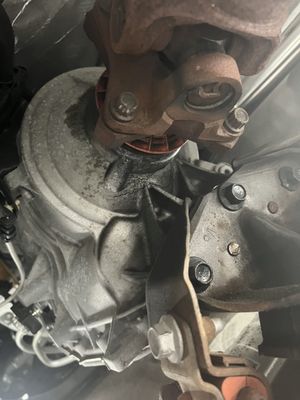 KELLY FORD - Updated January 2026 - 46 Photos & 91 Reviews - 776 ...