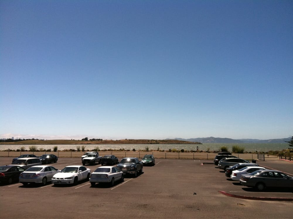 THE GILMAN FIELD - Updated October 2025 - 11 Photos & 18 Reviews - 400 ...