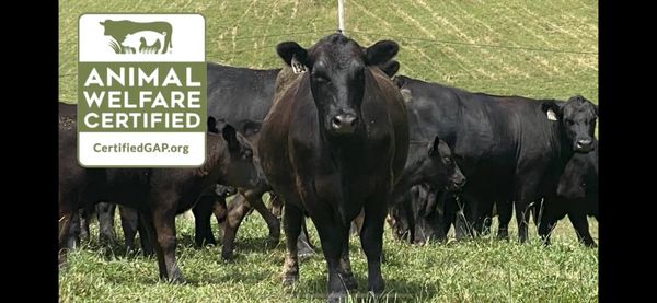 BONNER FARMS BEEF & MARKET - Updated December 2025 - 12428 State Rte 88 ...