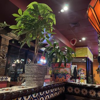 OCHO CAFE - Updated March 2025 - 600 Photos & 374 Reviews - 330 N Main ...