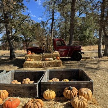 FOWLER RANCH - Updated July 2025 - 66 Photos & 33 Reviews - 3111 Lincoln Newcastle Hwy 193 ...