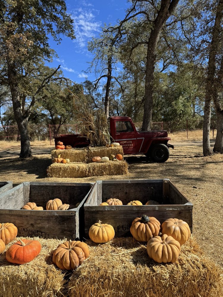FOWLER RANCH - Updated October 2025 - 83 Photos & 45 Reviews - 3111 ...