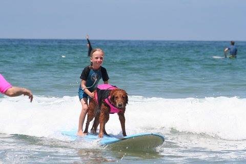 SPECIAL FISHIES:AQUATIC FREEDOM AND EDUCATION - Updated October 2025 ...