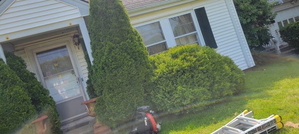 ALEX LANDSCAPING - Updated July 2025 - 11 Photos - 23 Dean St, Norwood ...