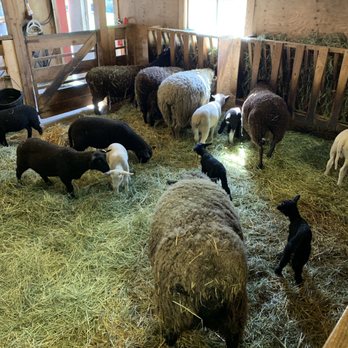 MAPLEWOOD FARM - Updated October 2025 - 252 Photos & 46 Reviews - 405 ...