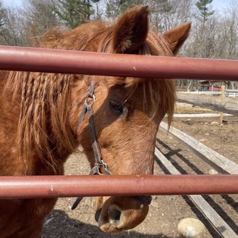 FLAMIG FARM - Updated November 2025 - 393 Photos & 73 Reviews - 7 ...