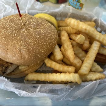 BLUE PARROT OCEAN FRONT CAFE - Updated February 2025 - 382 Photos & 577 ...