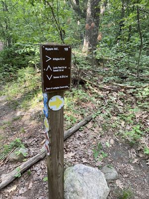 WHIPPLE HILL - Updated July 2025 - 17 Photos - 1625 Massachusetts Ave ...