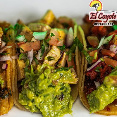 EL COYOTE - FOREST HILLS - Updated December 2025 - 609 Photos & 414 ...