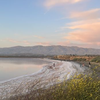 ALVISO MARINA COUNTY PARK - Updated October 2025 - 1749 Photos & 228 ...