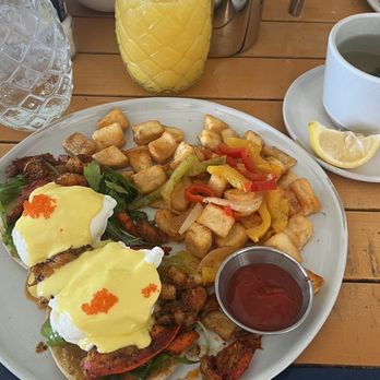 CALUSA - Updated January 2025 - 272 Photos & 98 Reviews - 97000 ...