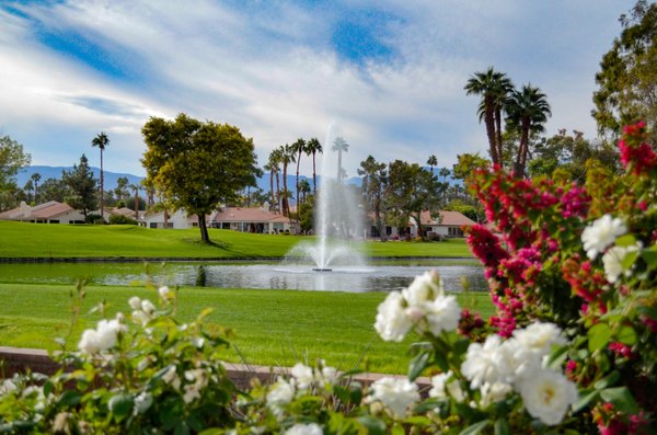 AVONDALE GOLF CLUB - Updated December 2025 - 39 Photos - 75800 Avondale ...