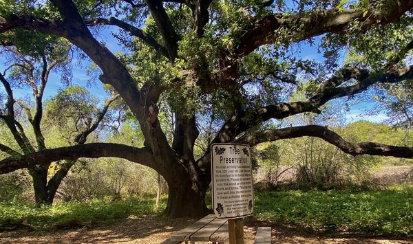 RAGLE RANCH REGIONAL PARK - Updated April 2025 - 57 Photos & 48 Reviews ...